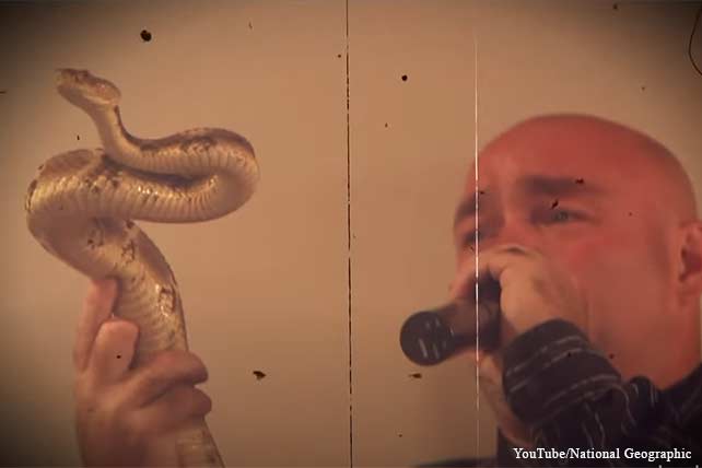 Pentecostal Snake Handlers Now Calling on Jesus and Doctors After High ...